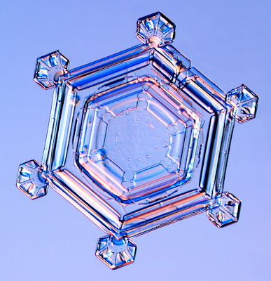 Poiema Portfolio: God the Geometrician