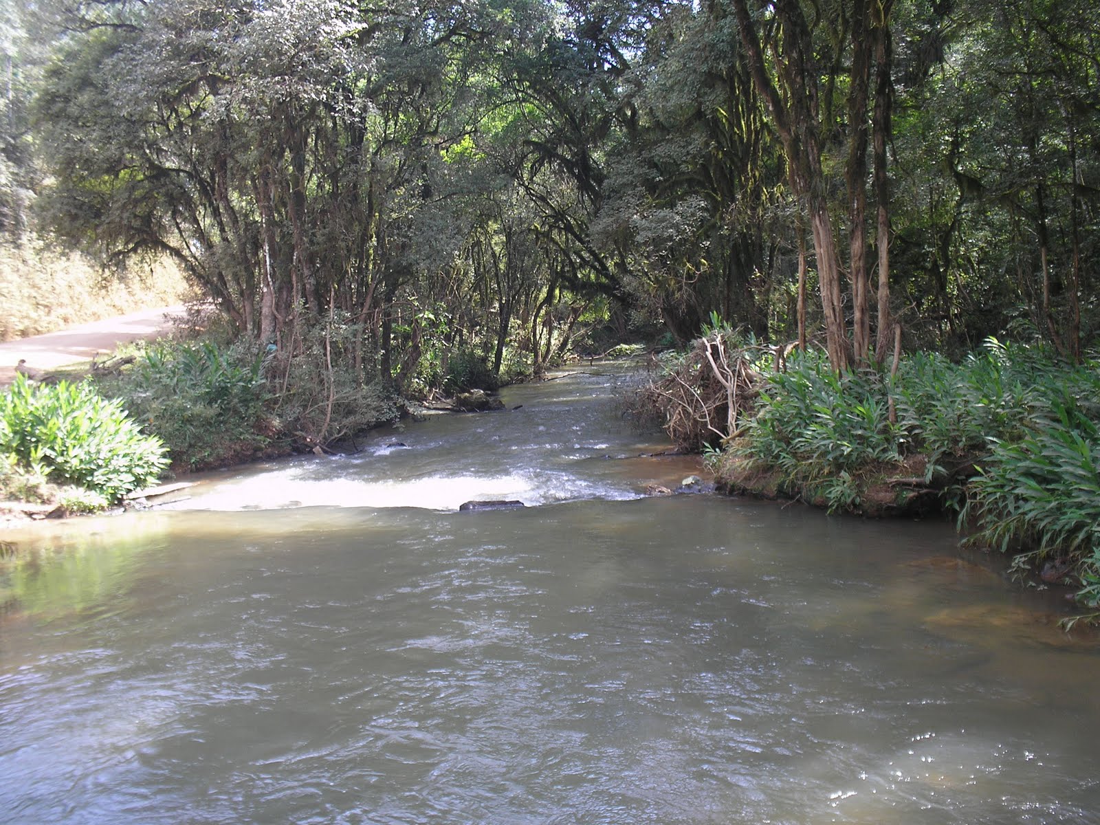AMAPA do PASSAÚNA: 4. CONHEÇA CAMPO MAGRO