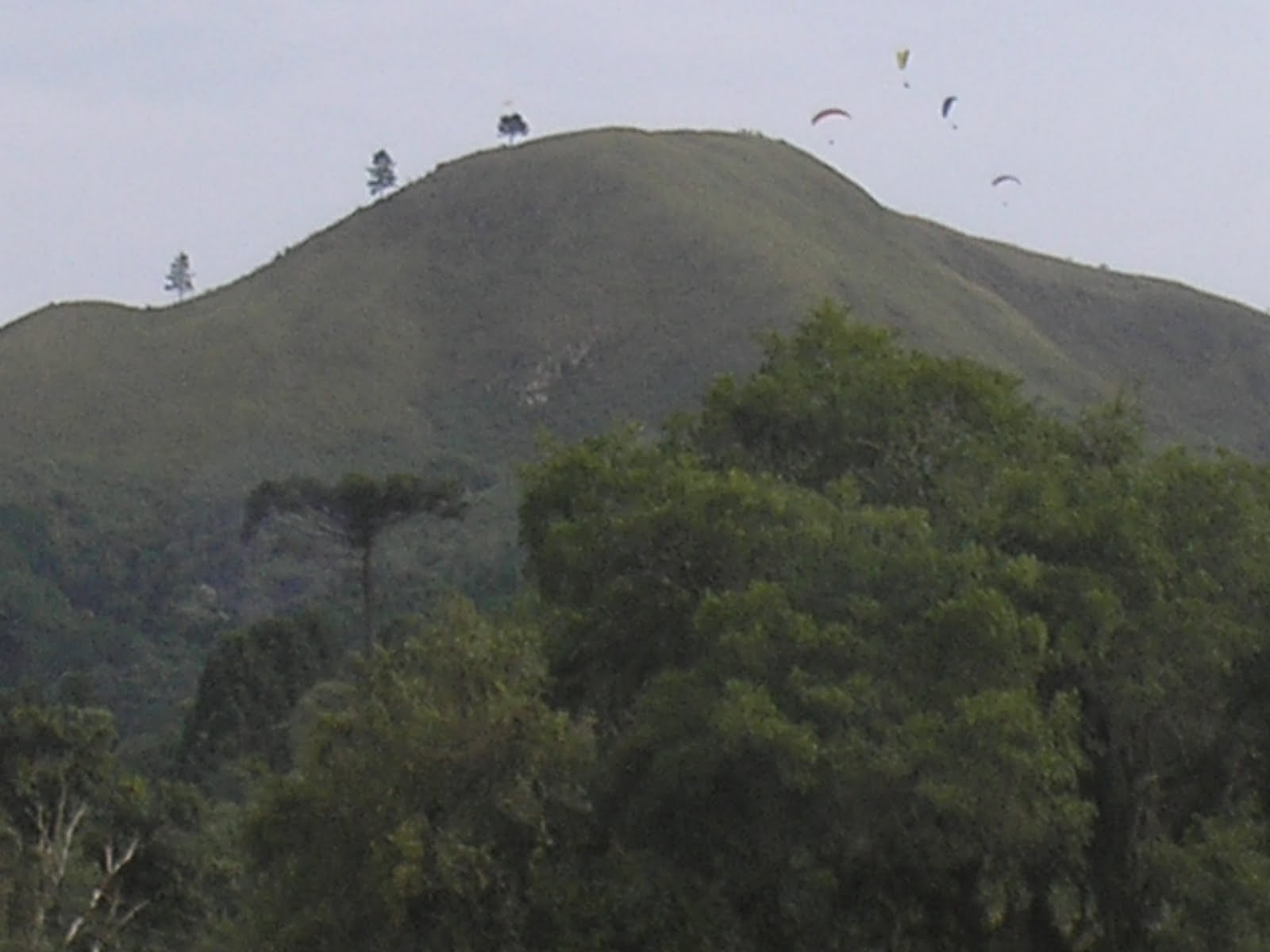 AMAPA do PASSAÚNA: 4. CONHEÇA CAMPO MAGRO