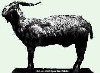 PASSO DE GUIA GTS2 CIETH 2012: Curiosidades sobre o Ceará e sua capital ...