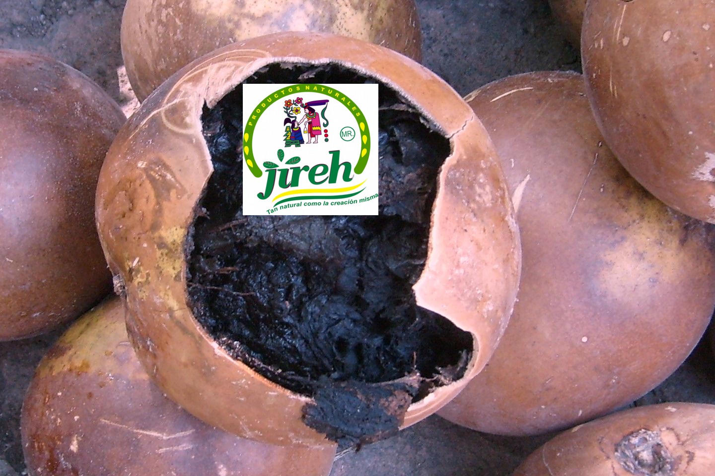 CUATECOMATE TÓNICO PULMONAR JIREH