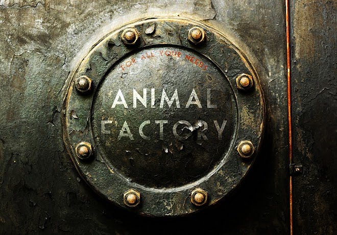 Animal Factory: Bienvenidos a Animal Factory