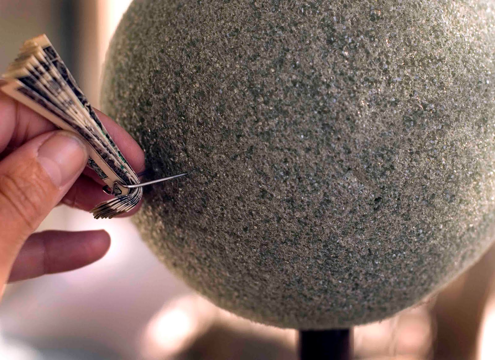 Plays With Needles: The Money Tree