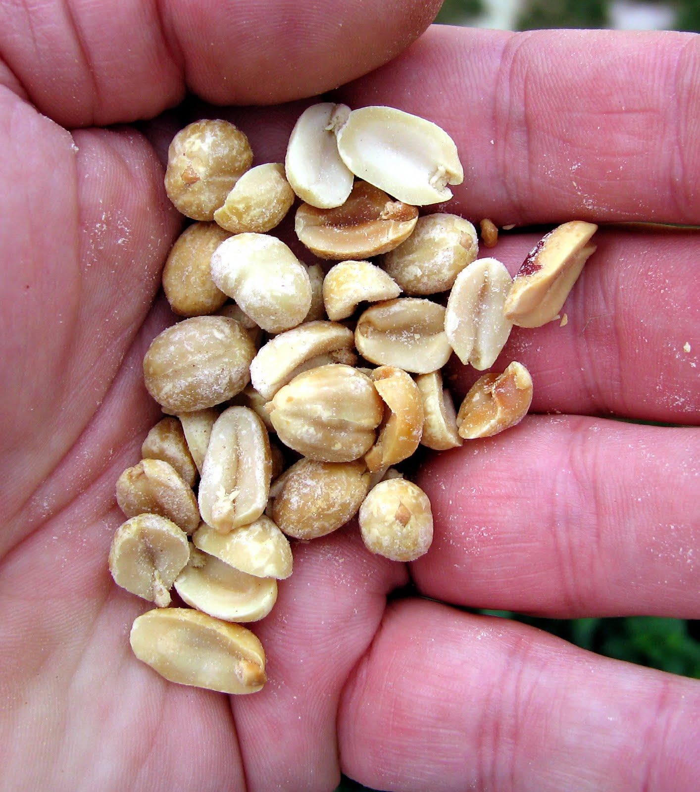 the Cucking Stool: Breakfast at Delta Airlines