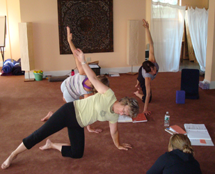 Anie Boudreau Yoga Therapy and Mindful Living: Phoenix Rising Yoga Therapy