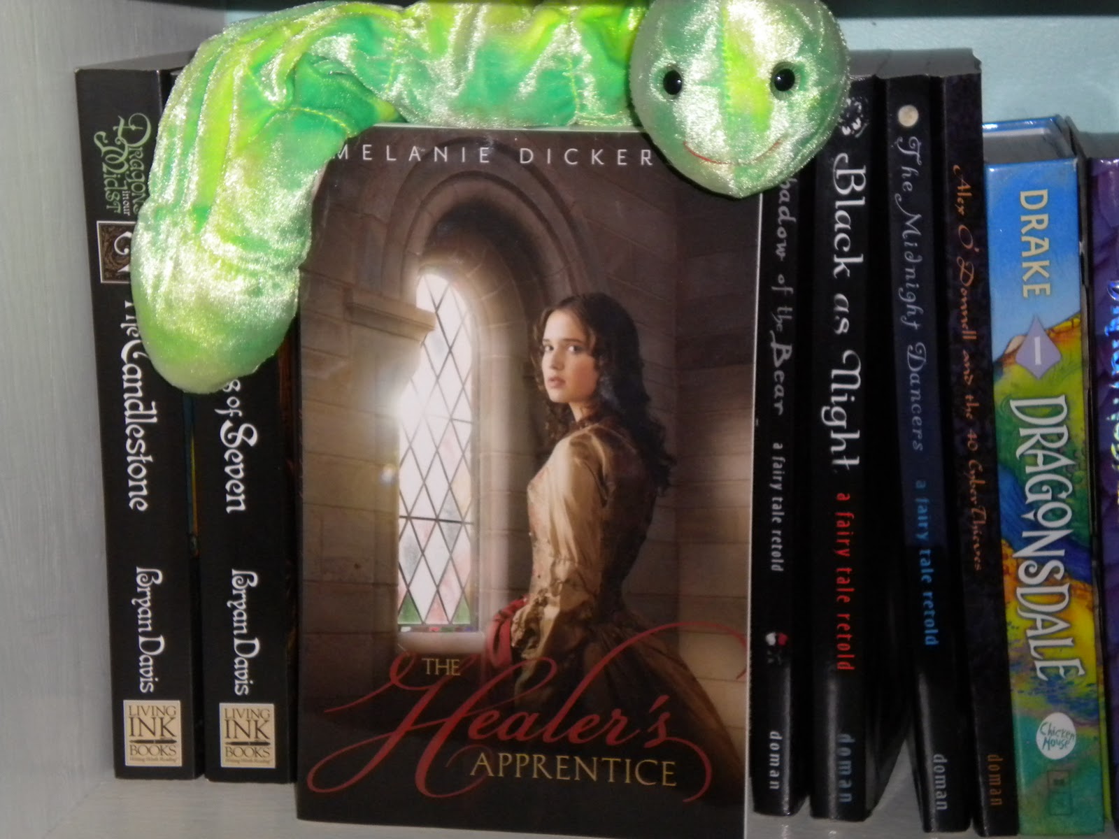 Bookworm: The Healer's Apprentice