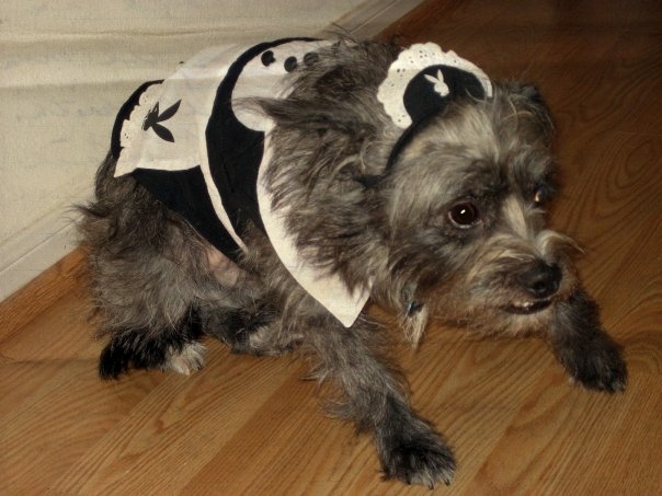 Adventuresome Pearls: Izzy