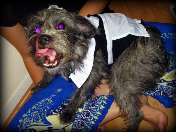 Adventuresome Pearls: Izzy