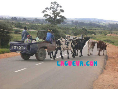 ESTOY REMODELANDO...: Troca del año