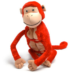 Singapore Zoobie Pets - From A Toy to Pillow n Become A Blanket ...