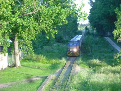 CAMPAMENTO ESCOLAR - RAIGÓN - SAN JOSÉ