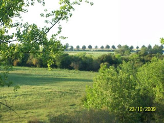 CAMPAMENTO ESCOLAR - RAIGÓN - SAN JOSÉ