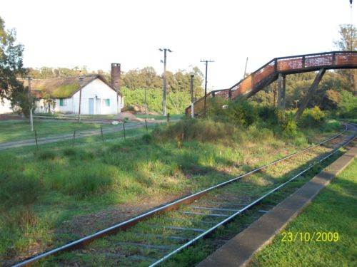 CAMPAMENTO ESCOLAR - RAIGÓN - SAN JOSÉ