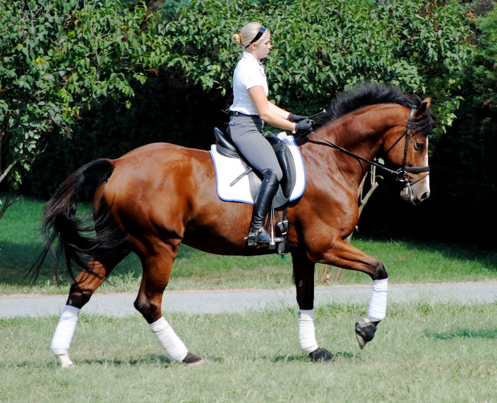 How To Ride A Spur Trained Horse at Greg Stone blog