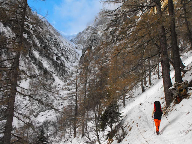 Valea Alba ~ Amintiri din munti