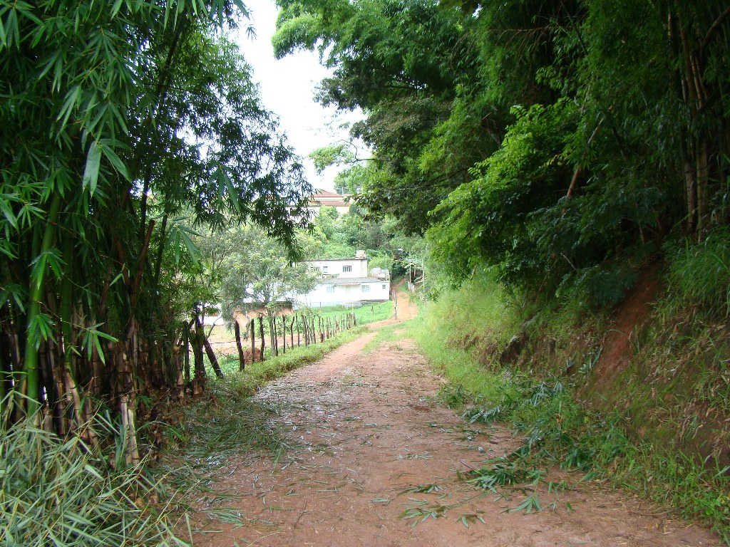 VIAGEM, TURISMO E AVENTURAS POR LUGARES INCRÍVEIS : ENTRE RIOS DE MINAS ...