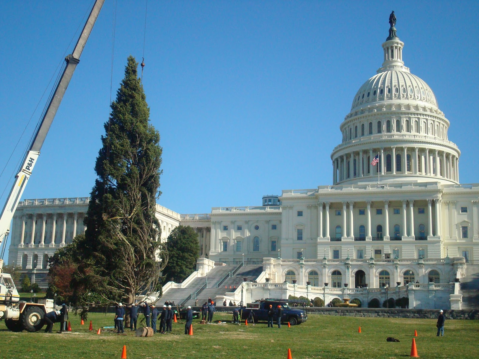 Capitol Christmas Tree 2010
