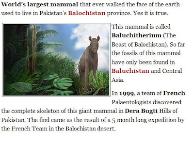Full of Entertainment: Baluchitherium: The Beast of Balochistan