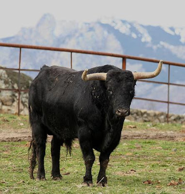 ESPAI TAURÍ: marzo 2010