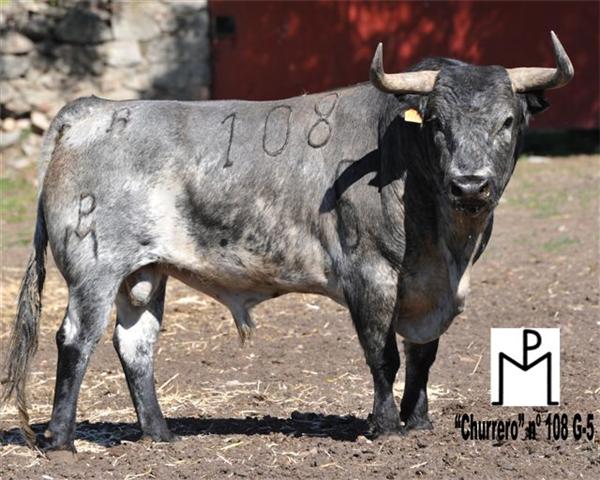 ESPAI TAURÍ: Hoy en Villamanta toros de Pablo Mayoral