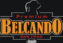 Belcando The Best Choice For Your Pets