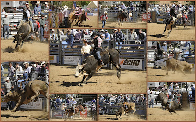 Rodeo Action Photos: Auburn's Wild West Stampede 2008