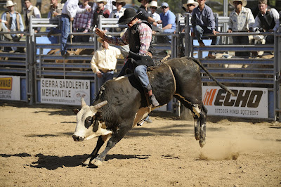 Rodeo Action Photos: Bullriding at Auburn