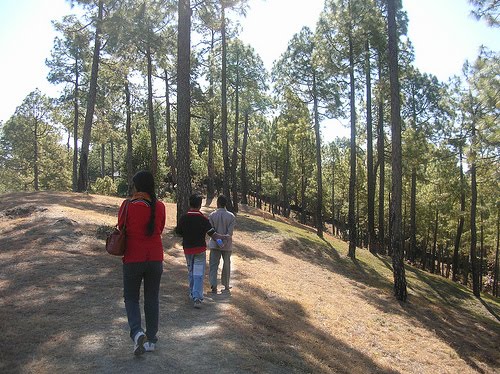 Explore Romantic Kumaon Tour | Tourism in India | India Tours | Tour ...