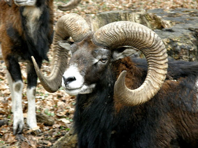 OCTOBER 27: Republic of Turkmenistan: a date with history | Holiday ...