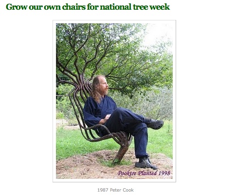 treeaware: Growing Chairs and Tree Celebrations