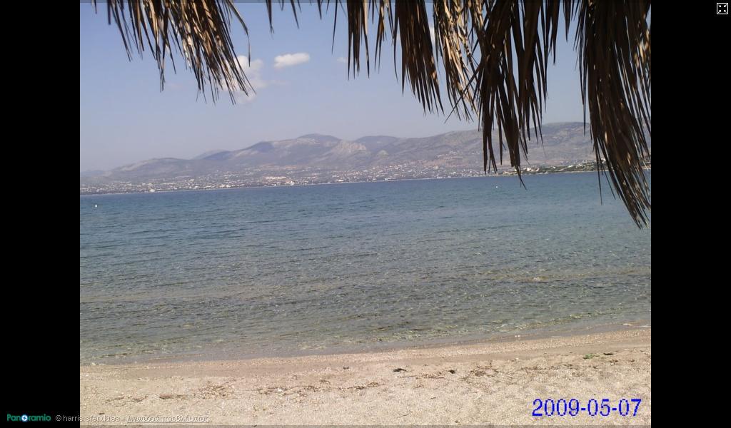 ΣΑΛΑΜΙΝΑ ΒΑΣΙΛΙΚΑ SALAMINA VASILIKA BASILIKA ΣΑΛΑΜΙΝΟΣ ΠΑΡΑΛΙΑ ΠΑΡΑΛΙΕΣ ...