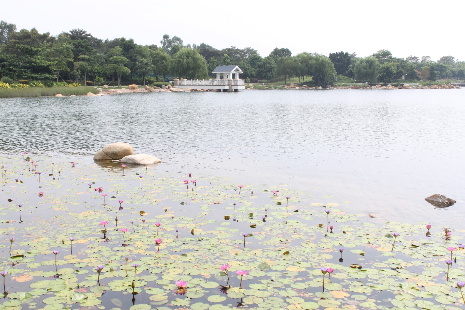 SPD3159 Attractions in Hong Kong!: Inspiration Lake 迪欣湖 3/10/2010