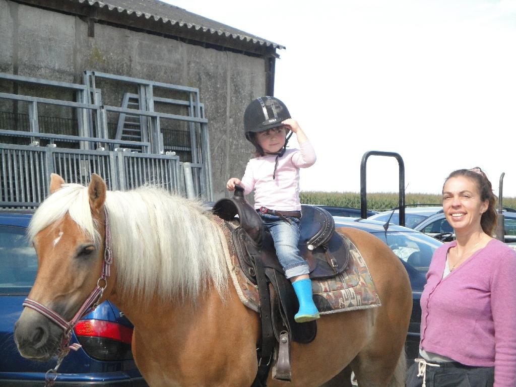 Ces and Leon Blog: The Lone Star Western stable