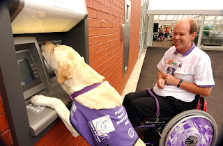 Lunatic's Asylum: Endal: How one amazing dog is still changing the ...