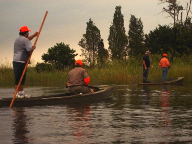 Main Line Sportsman: Rail Bird Hunting