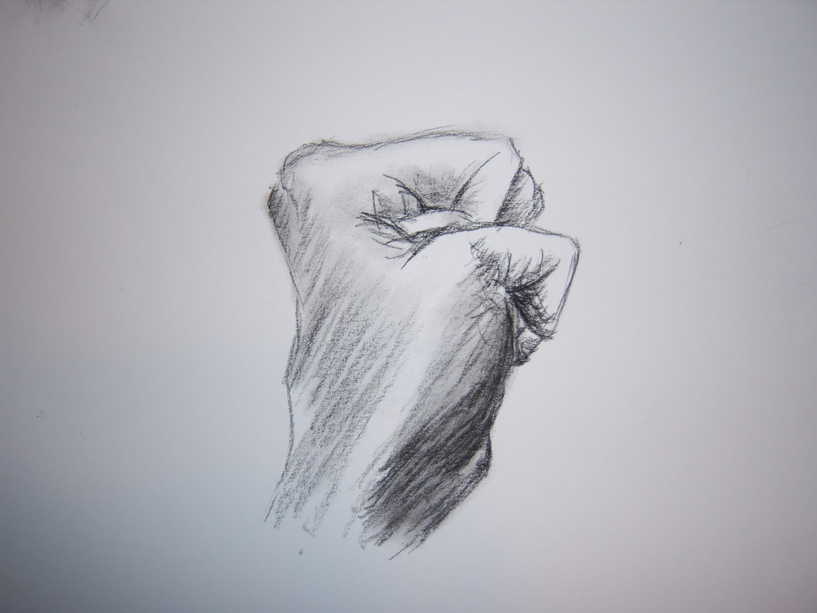 Anna Mersaydes Photography and Design: Drawing Fundamentals 2 Works