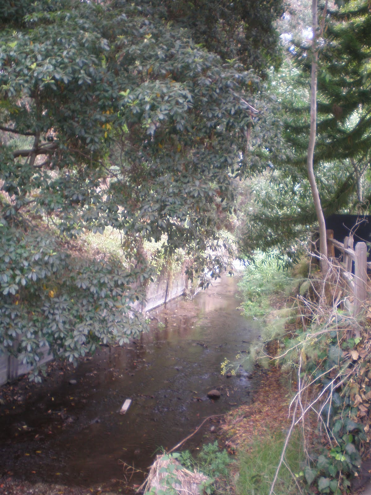 Climbing LA: Walk #40 : Santa Monica - Rustic Canyon Loop