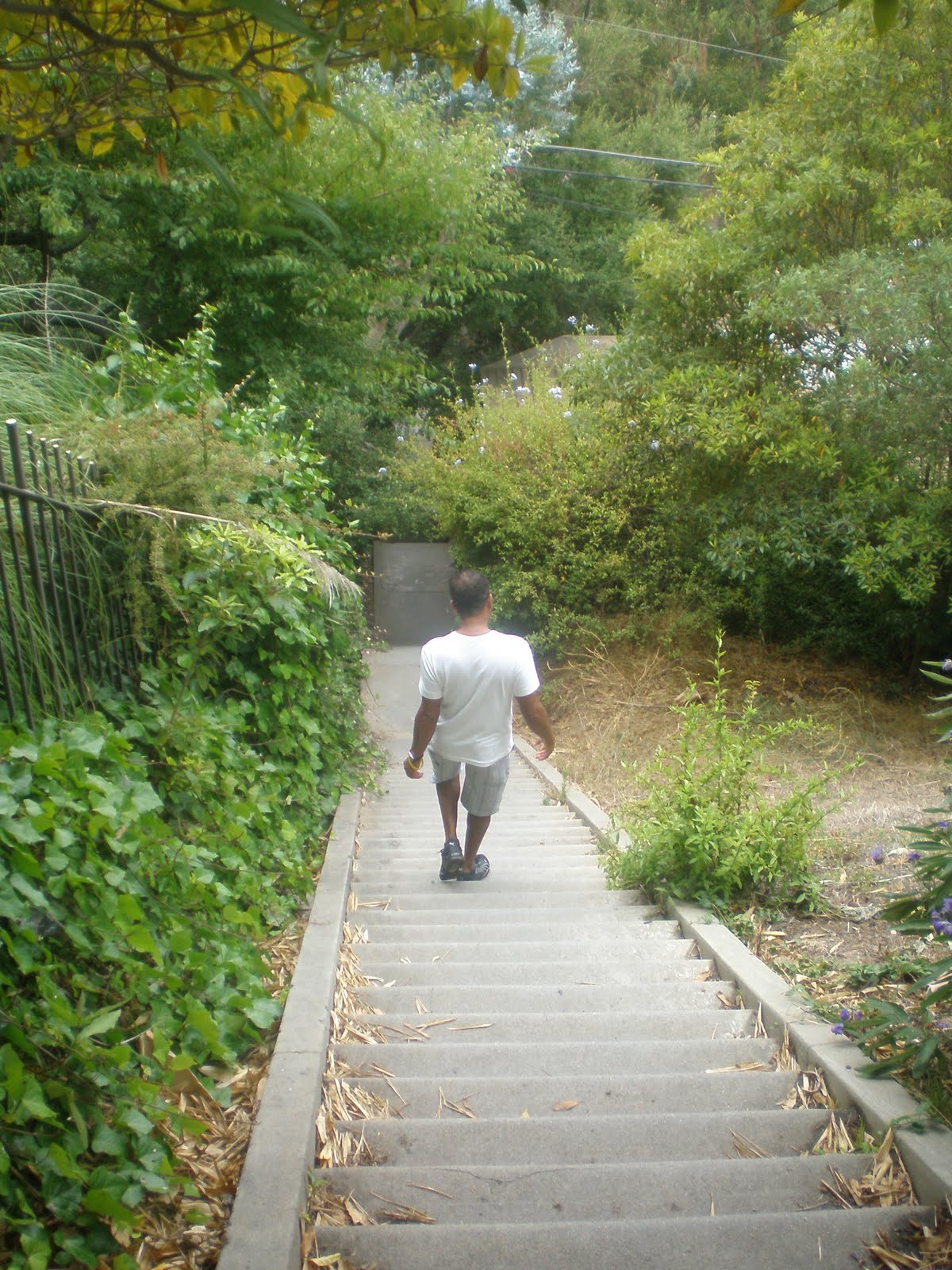 Climbing LA: Walk #40 : Santa Monica - Rustic Canyon Loop