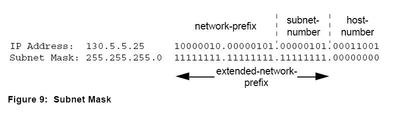 HEAVY NETWORK: Extended-Network-Prefix