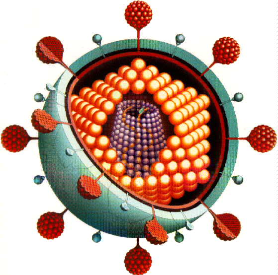 Ciencias del Mundo Contemporáneo: ¿LOS VIRUS SON SERES VIVOS?