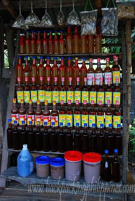 Backpacking Philippines: How to Make Bagoong Pangasinan: Heavenly ...