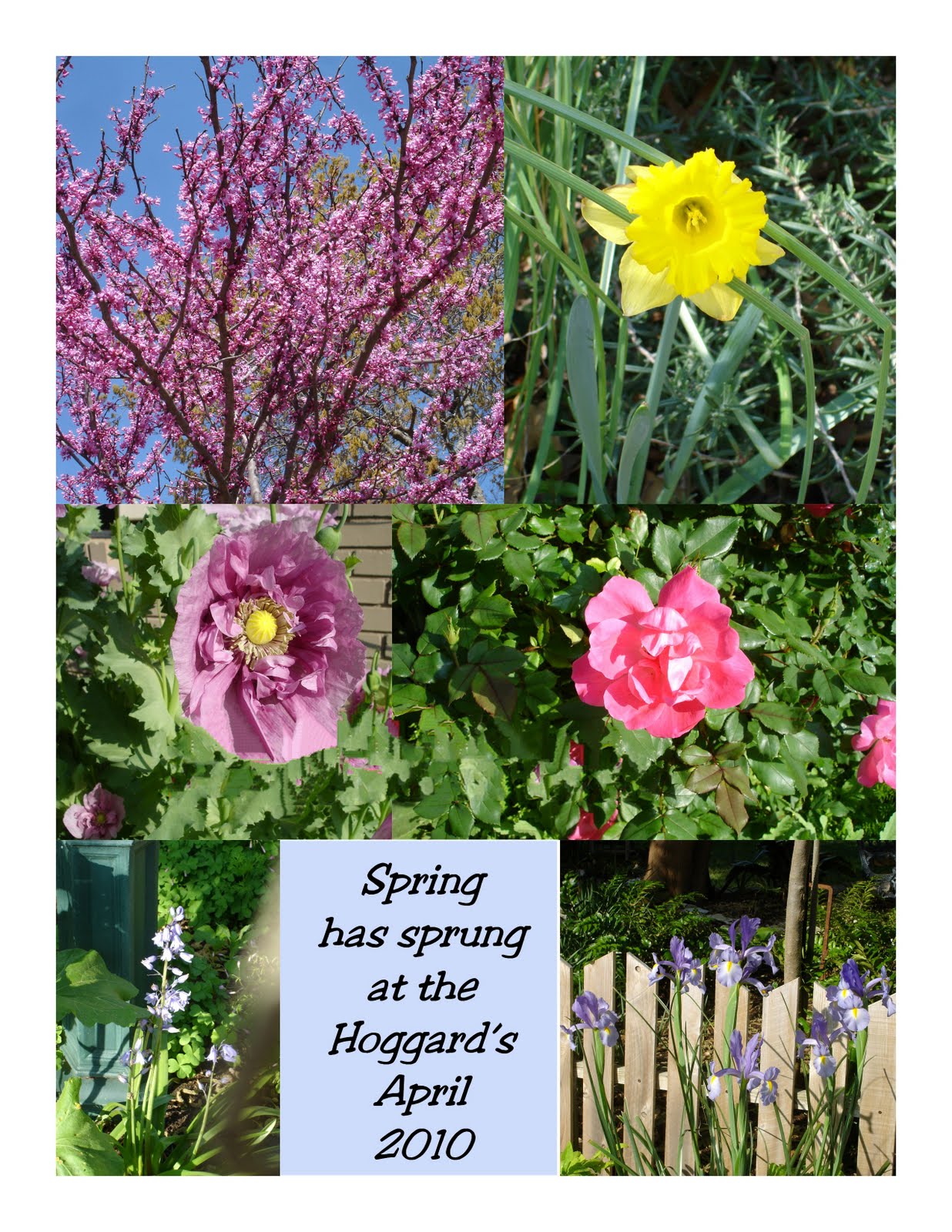 Travelin': Spring has sprung....