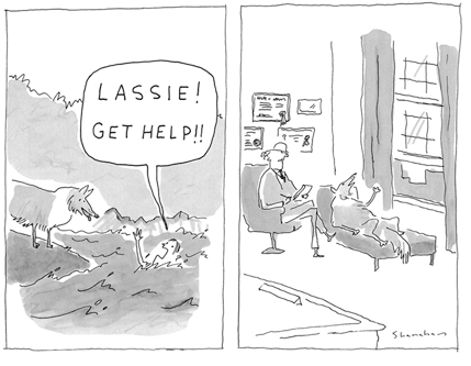 CRCC Advocacy - Beyond the Shift Reports: Trauma Stewardship