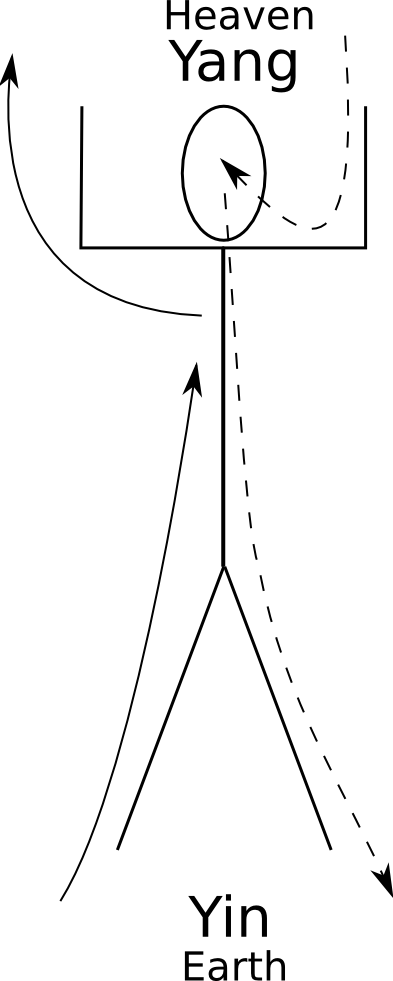 Five Transformations: The Flow of Yin and Yang through the Body