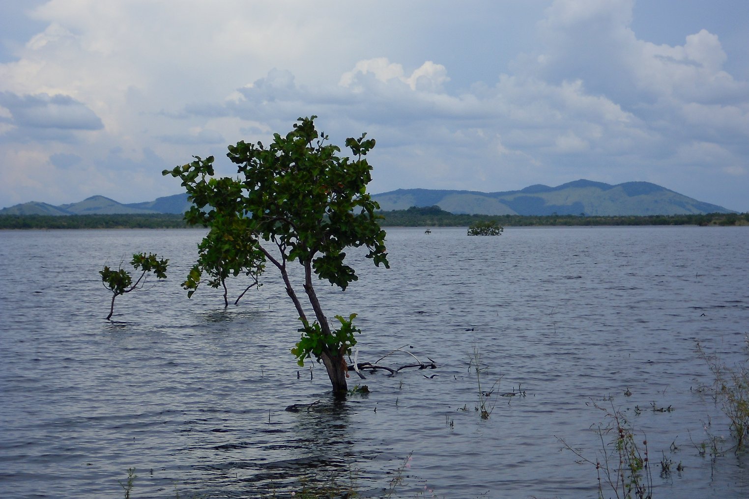 Guayana: Eje Sur Upata Santa Elena de Uairén: Embalse de Guri desde el ...