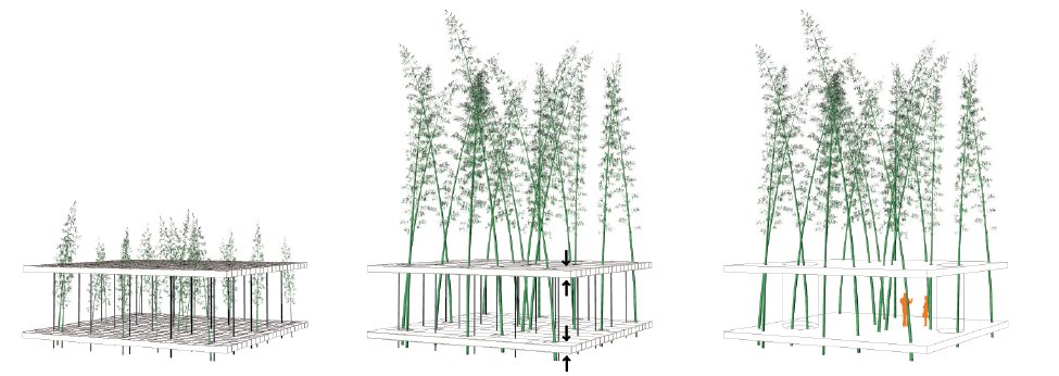 Shedworking: Bamboo Pavilion: grow your own garden office