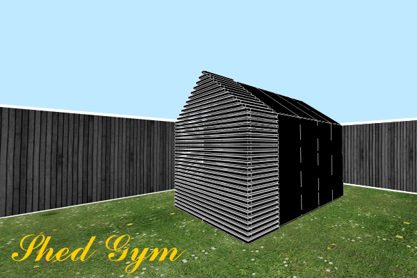 Shedworking: Shed gym
