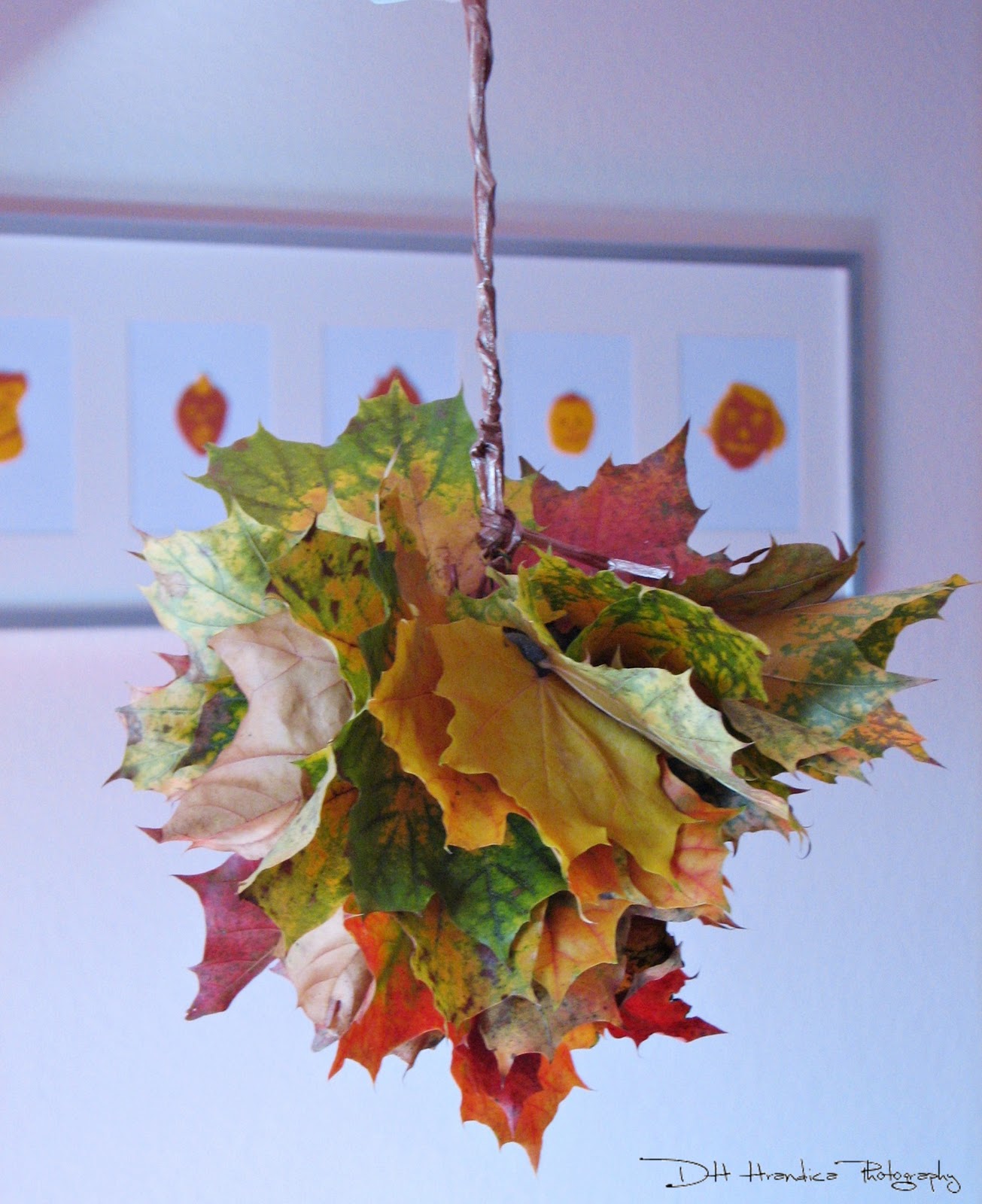 Jesensko listje/ Autumnal leafs