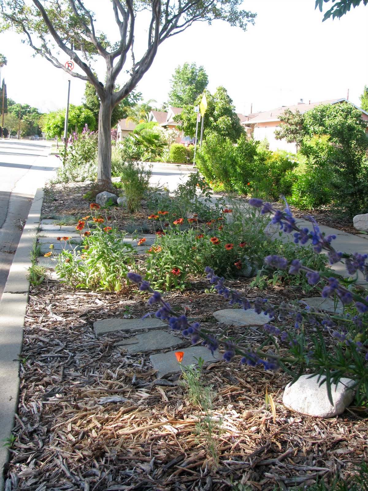 All Your Parkway Are Belong To Us