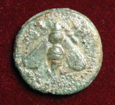 The Boojum Bees: Bee Knowledgeable: Honeybee History Facts!